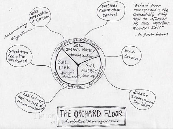 Holistic Orchard Floor Management | Eve's Cidery