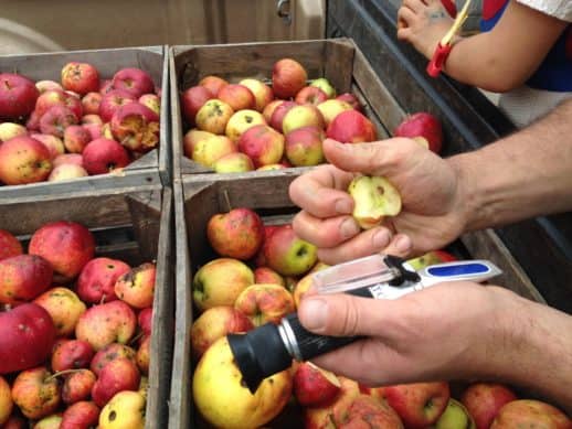 brix-in-apples | Eve's Cidery
