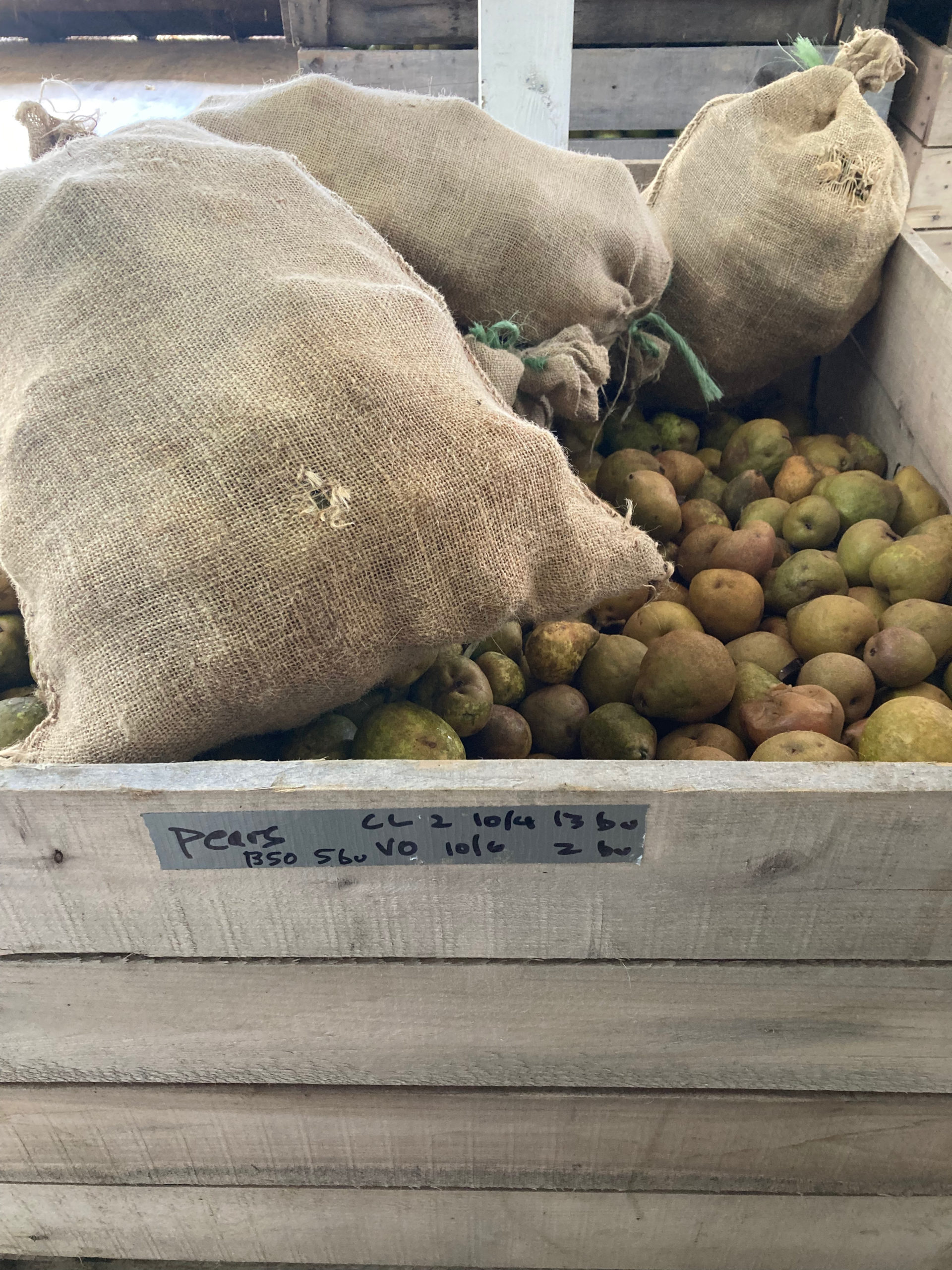 Potomac | Eve's Cidery